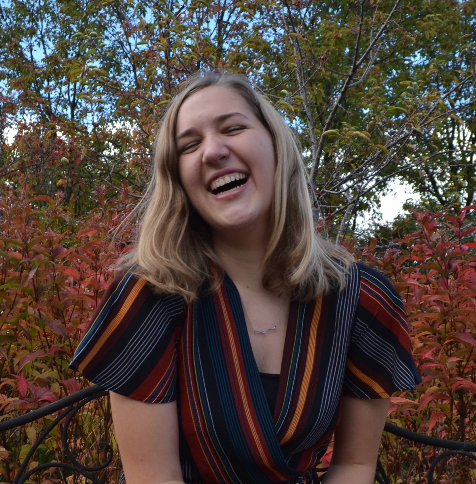 Welcome to Niemeyer and Calder - #GVSURA Resource Website - Grand ...